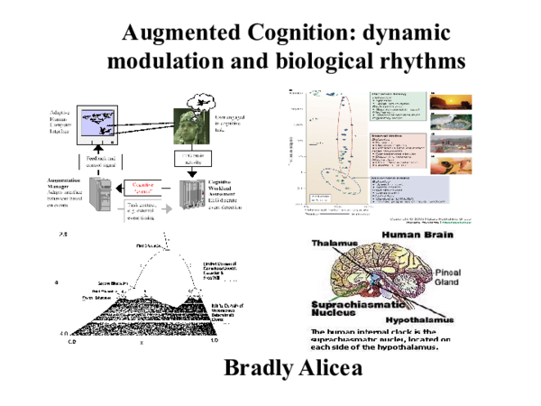 (PDF) Augmented Cognition: dynamic modulation and biological rhythms