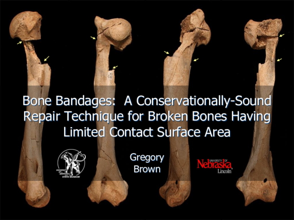 (PDF) Bone bandages: A conservationally-sound repair technique for ...