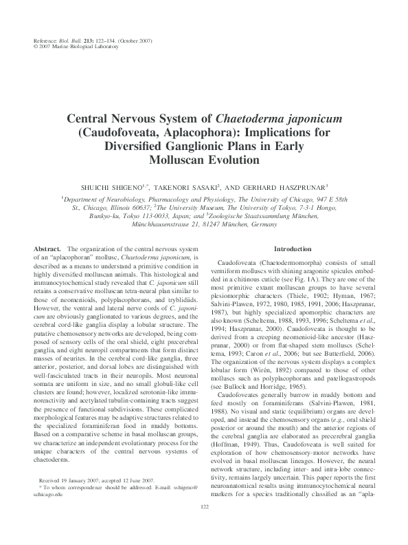 (PDF) Central Nervous System of Chaetoderma japonicum (Caudofoveata ...