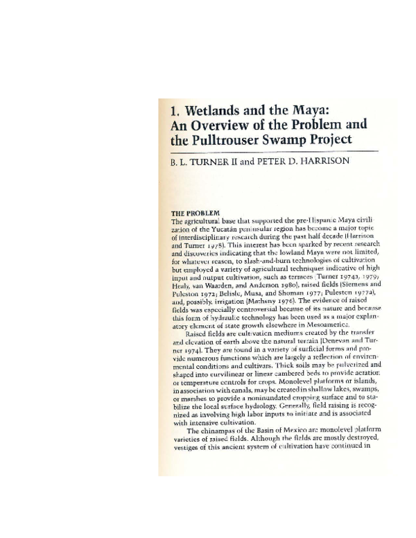 (PDF) Wetlands & the Maya: An Overview of the Problem & the Pulltrouser ...
