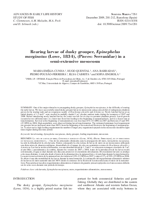 (PDF) Rearing larvae of dusky grouper, Epinephelus marginatus (Lowe ...