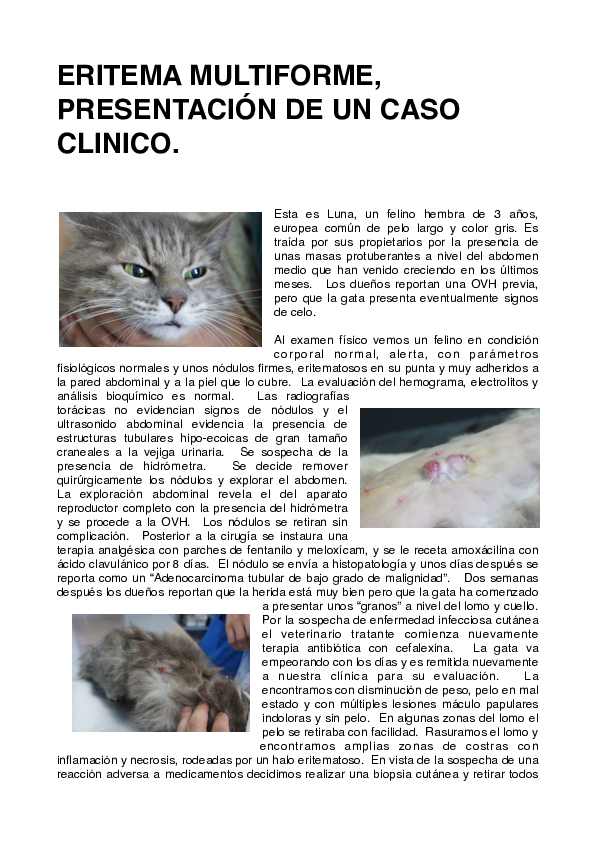 (PDF) eritema multiforme