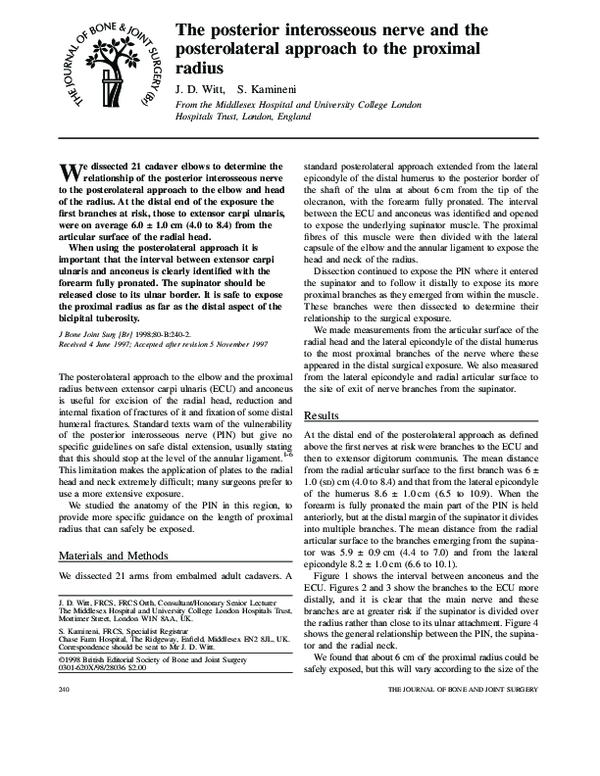 (PDF) The posterior interosseous nerve and the posterolateral approach ...