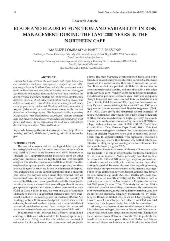 (PDF) Blade and bladelet function and variability in risk management ...
