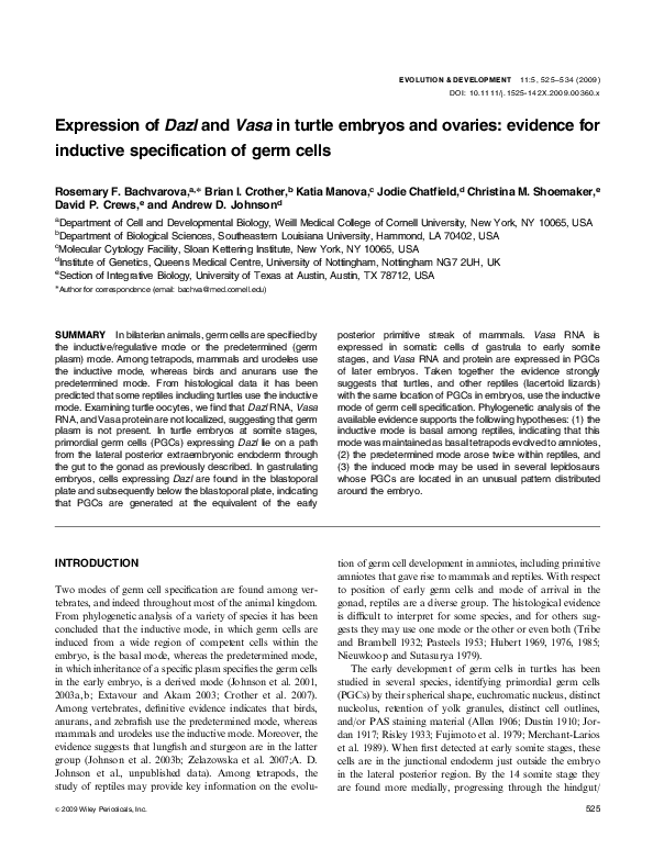 (PDF) Expression of Dazl and Vasa in turtle embryos and ovaries ...