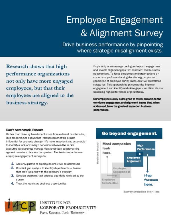(PDF) Employee Engagement & Alignment Survey