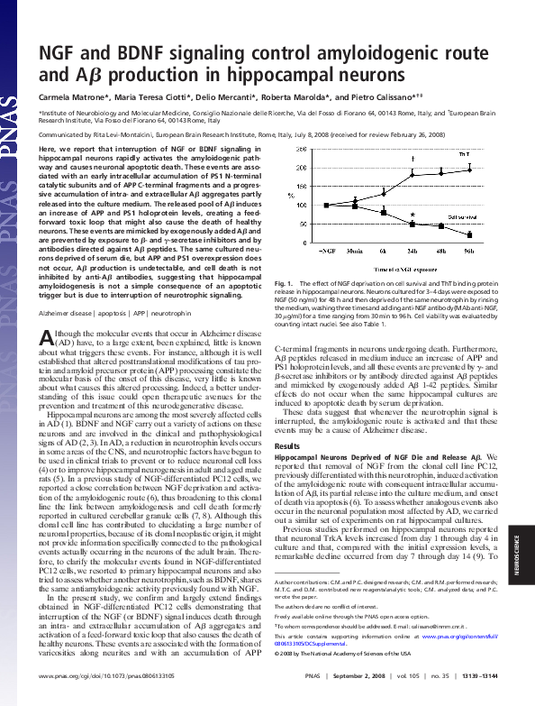 (PDF) NGF and BDNF signaling control amyloidogenic route and Abeta ...