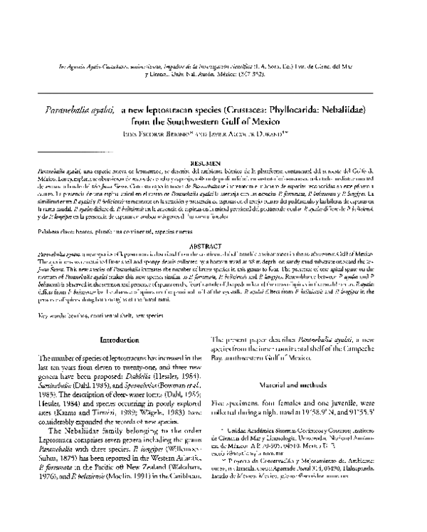 (PDF) Paranebalia ayalai, a new leptostracan species (Crustacea ...