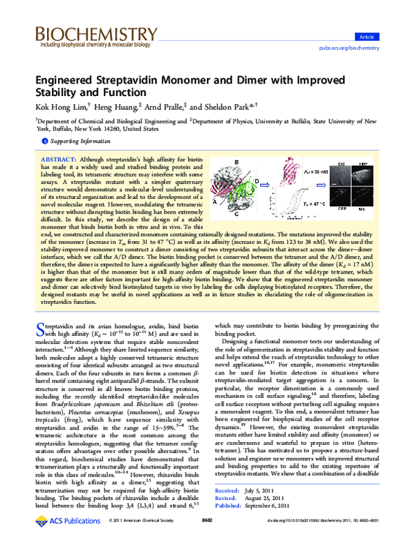 (PDF) Computational and mutagenesis studies of the streptavidin native ...