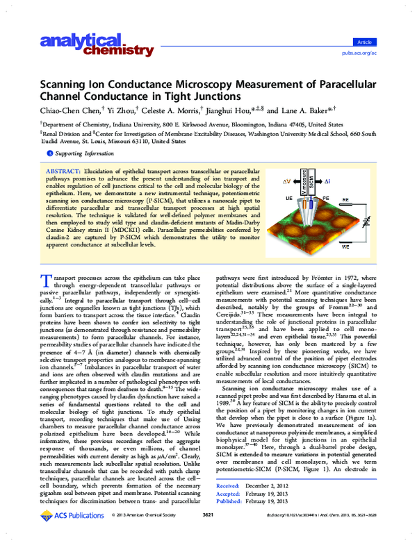 (PDF) Scanning ion conductance microscopy measurement of paracellular ...
