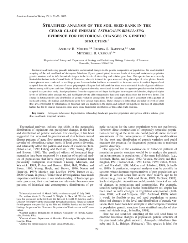 (PDF) STRATIFIED ANALYSIS OF THE SOIL SEED BANK IN THE CEDAR GLADE ...