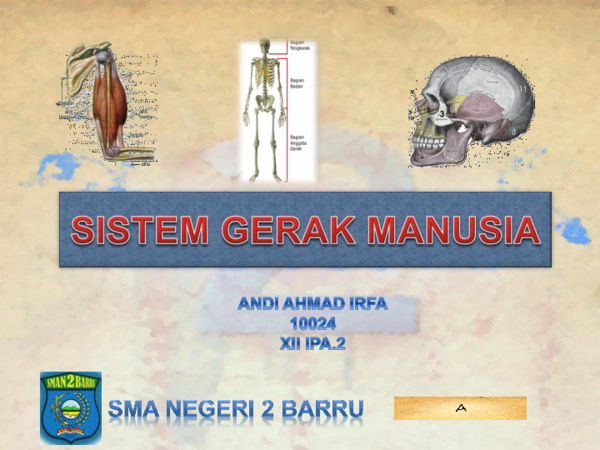 (PPT) Sistem Gerak Pada Manusia