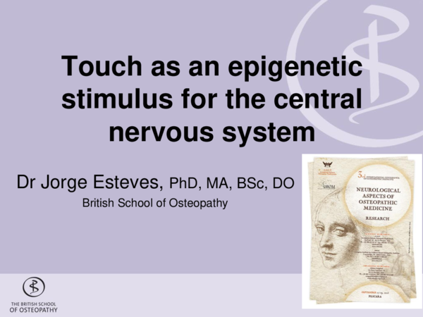 (PDF) Touch as an epigenetic stimulus for the central nervous system