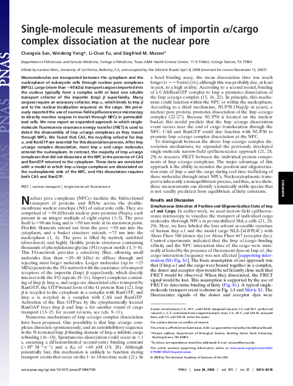 (PDF) Single-molecule measurements of importin ␣/cargo complex ...