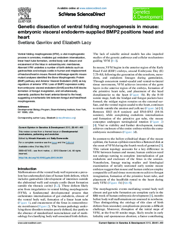 (PDF) Genetic dissection of ventral folding morphogenesis in mouse ...