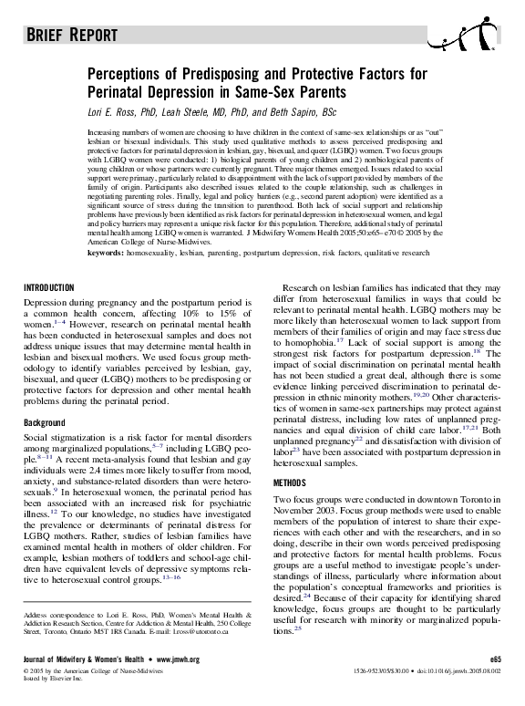 Pdf Perceptions Of Predisposing And Protective Factors For Perinatal Depression In Same Sex