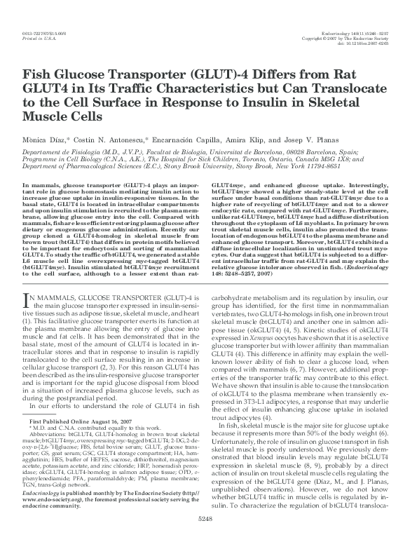 (PDF) Fish Glucose Transporter (GLUT)-4 Differs from Rat GLUT4 in Its ...