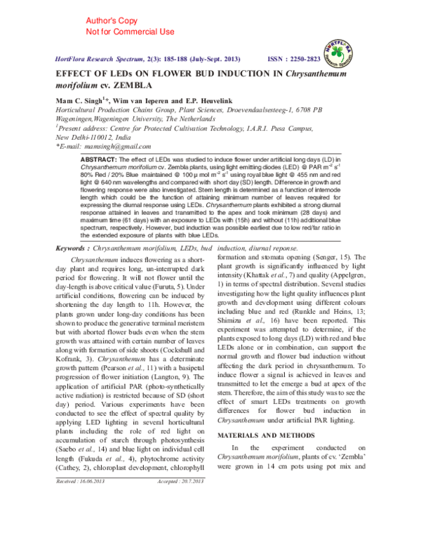 (PDF) Effect of LEDs on flower bud induction in Chrysanthemum ...