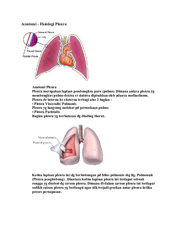 (DOC) PLEURA