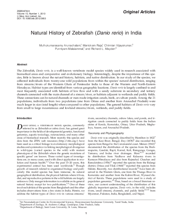 (PDF) Original Articles Natural History of Zebrafish (Danio rerio) in India