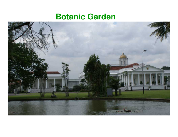 (PDF) BOTANIC GARDEN, an EX-SITU CONSERVATION IN INDONESIA