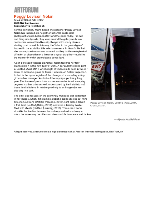 (PDF) Peggy Levison Nolan at Dina Mitrani Gallery, Miami, Florida