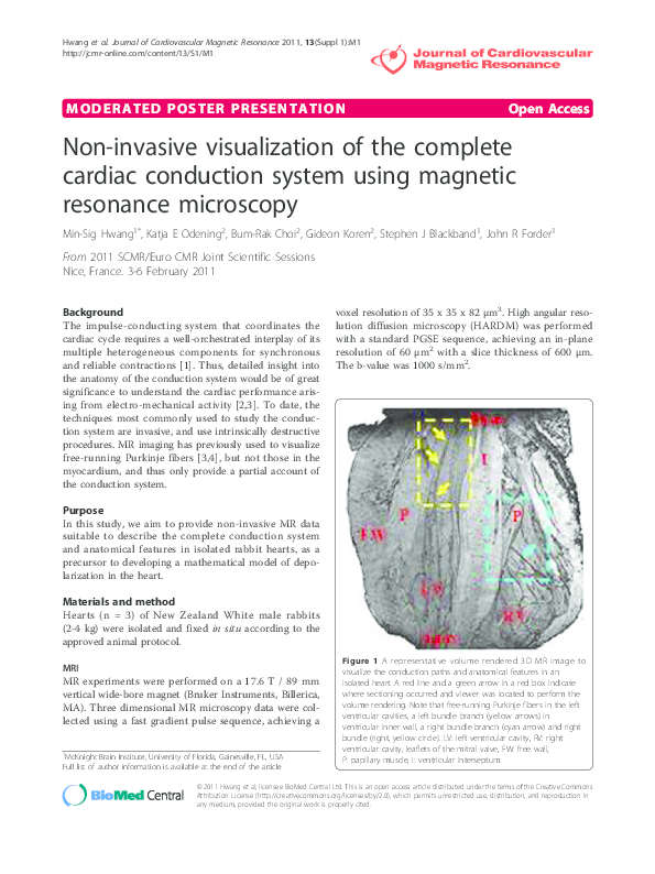 (PDF) Non-invasive visualization of the complete cardiac conduction ...