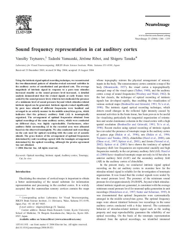 (PDF) Sound frequency representation in cat auditory cortex