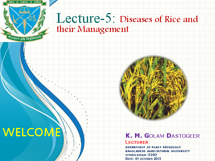 (PPT) Rice diseases in Bangladesh: A lecture by Dastogeer