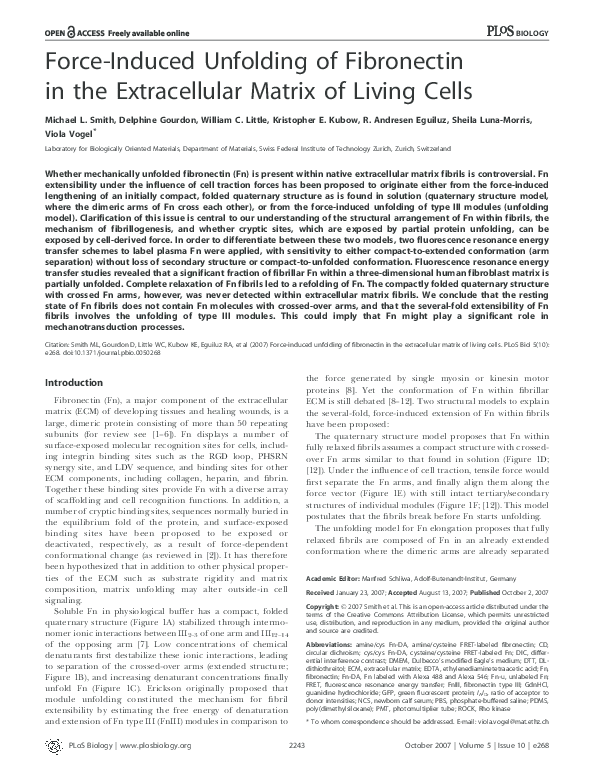(PDF) Induced Unfolding of Fibronectin in the Extracellular Matrix of ...