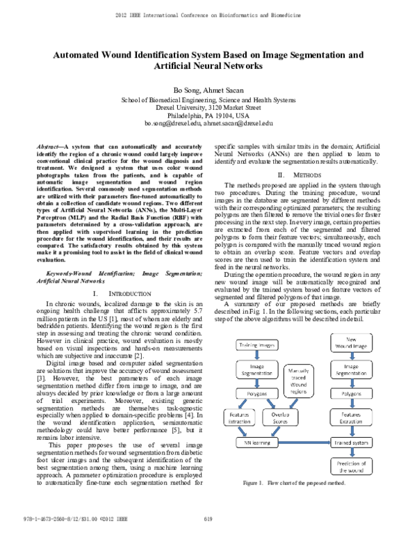 (PDF) Automated Wound Identification System Based on Image Segmentation and Artificial Neural ...