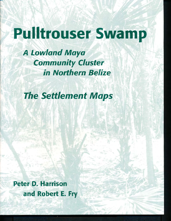(PDF) Pulltrouser Swamp: A Lowland Maya Community Cluster in Northern ...