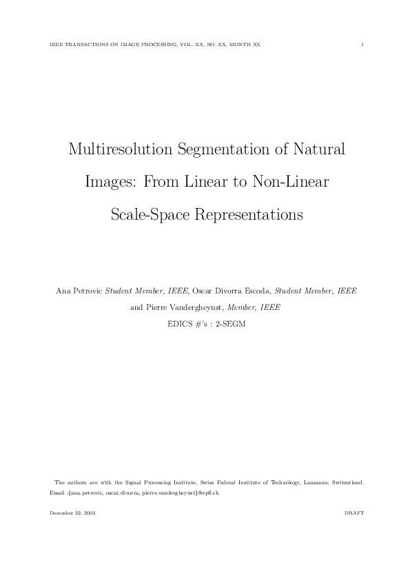 (PDF) Multiresolution segmentation of natural images: from linear to nonlinear scale-space ...