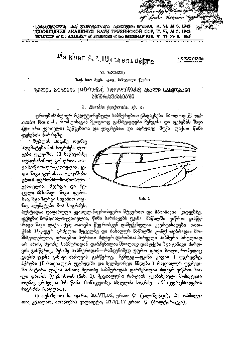 (PDF) Zaitzev, F. A. 1945. New species of the fruit flies from ...