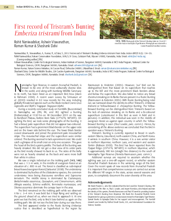 (PDF) First record of Tristram's Bunting Emberiza tristrami from India