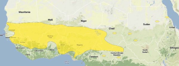 (PDF) FulBe (Fulani, Pulaar, Peul) distribution in Africa