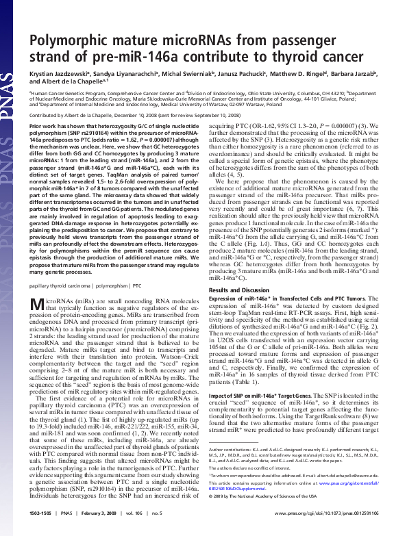 (PDF) Polymorphic mature microRNAs from passenger strand of pre-miR ...