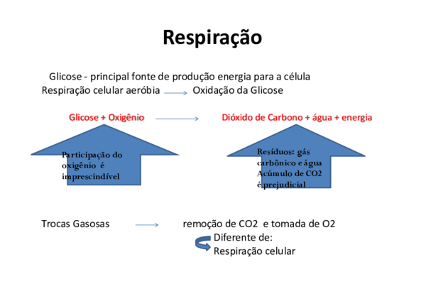(PDF) TROCAS GASOSAS