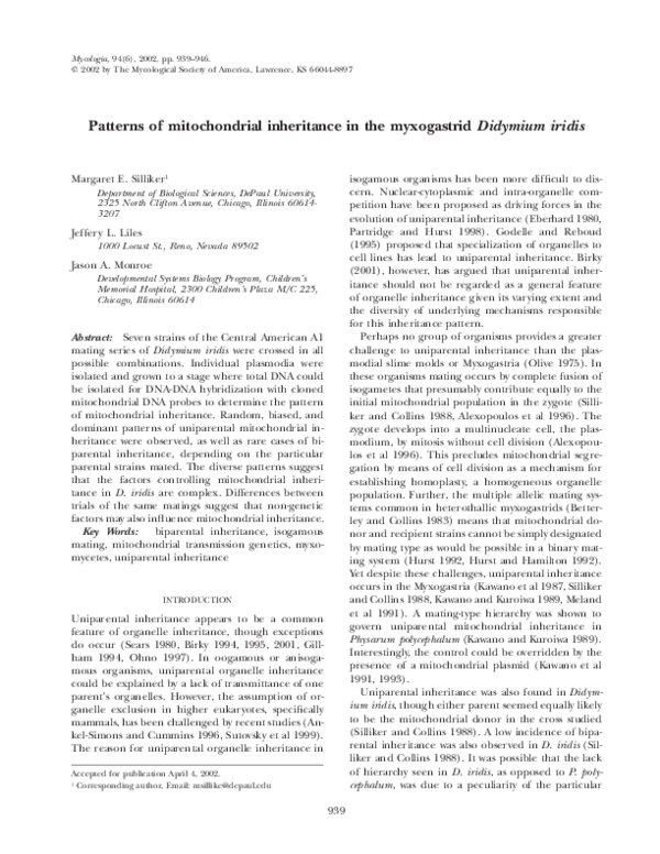 (PDF) Patterns of mitochondrial inheritance in the myxogastrid Didymium ...