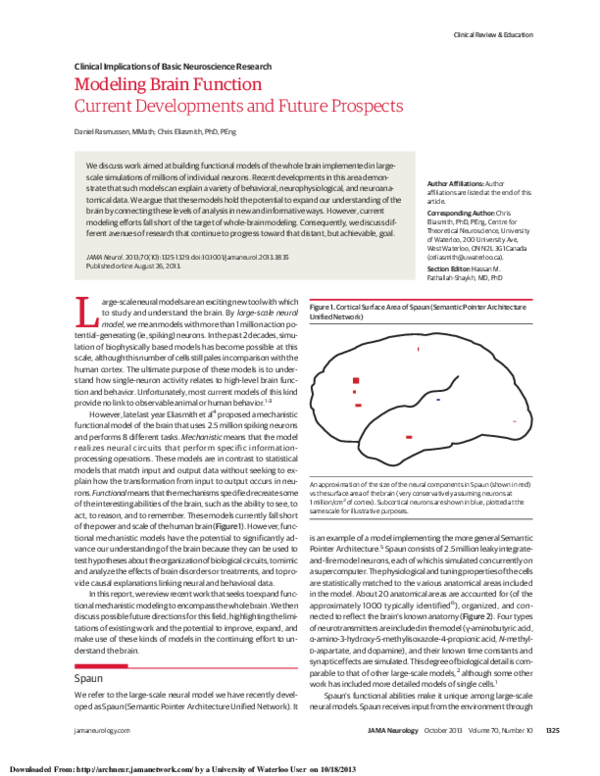 Pdf Modeling Brain Function Current Developments And Future Prospects