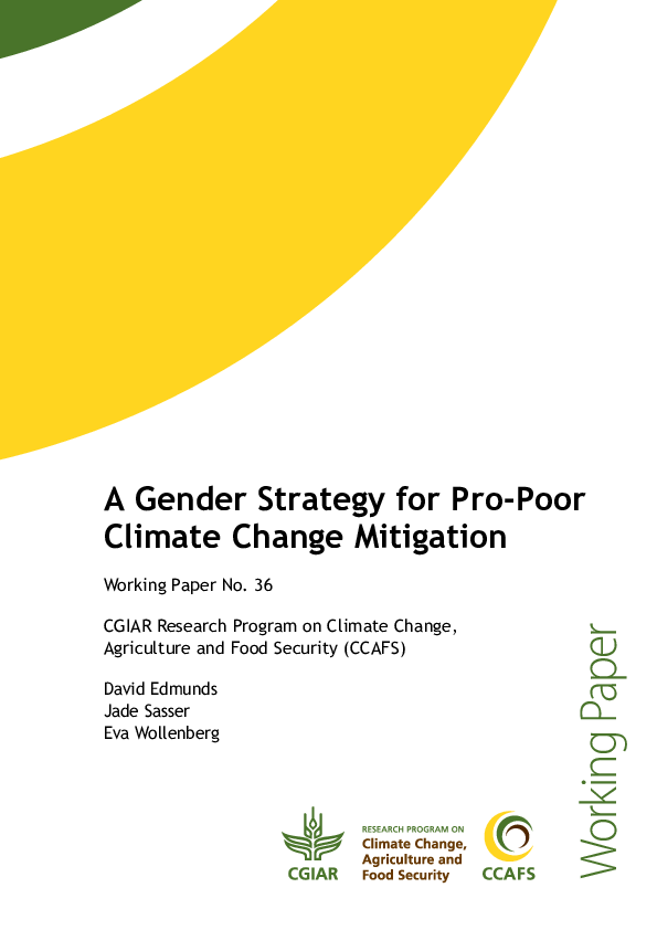 (PDF) A Gender Strategy for Pro-Poor Climate Change Mitigation