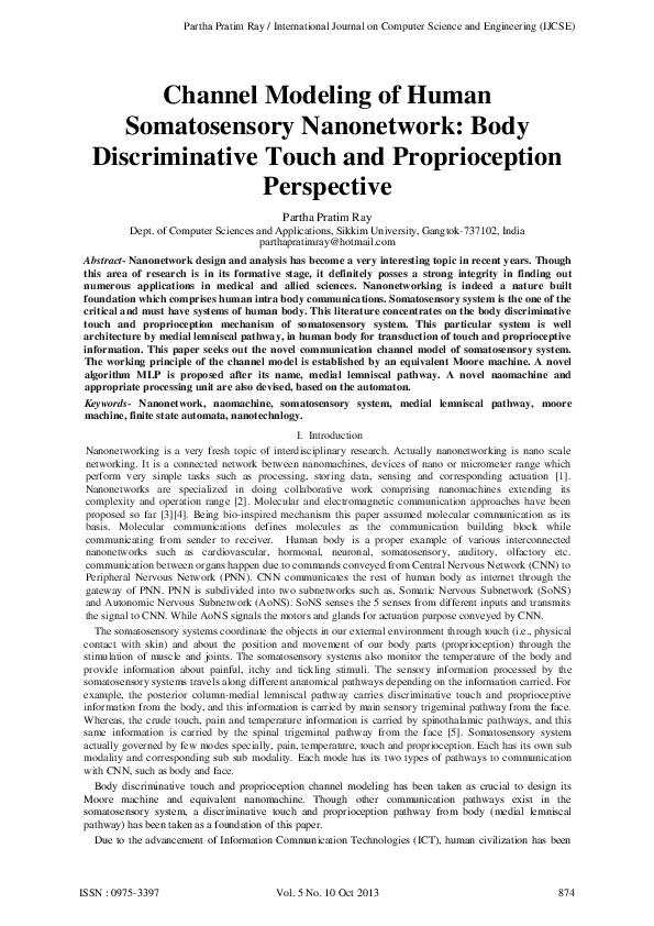 (PDF) Channel Modeling of Human Somatosensory Nanonetwork: Body ...