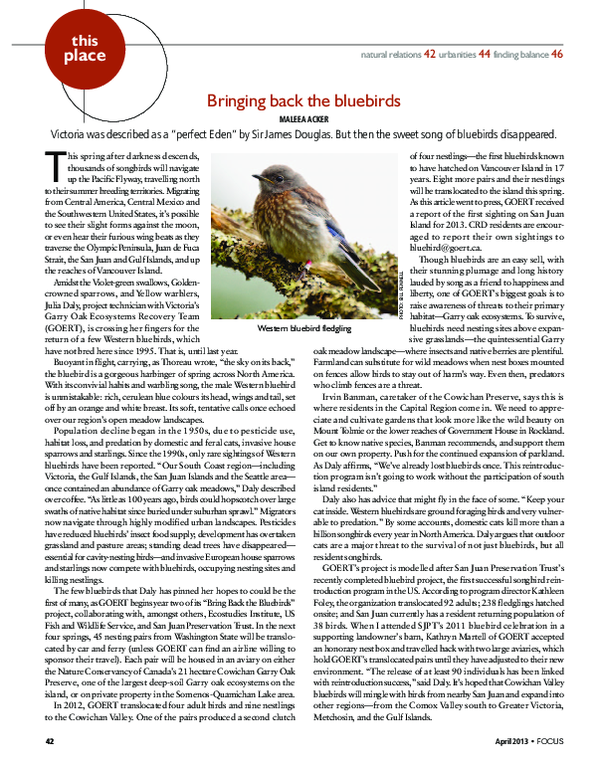 (PDF) Bringing Back the Bluebirds