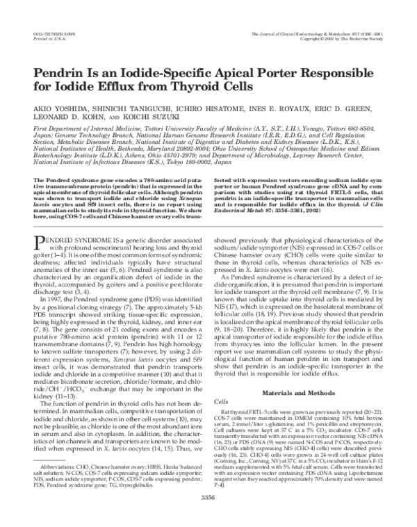 (PDF) Cells Pendrin Is an Iodide-Specific Apical Porter Responsible for ...