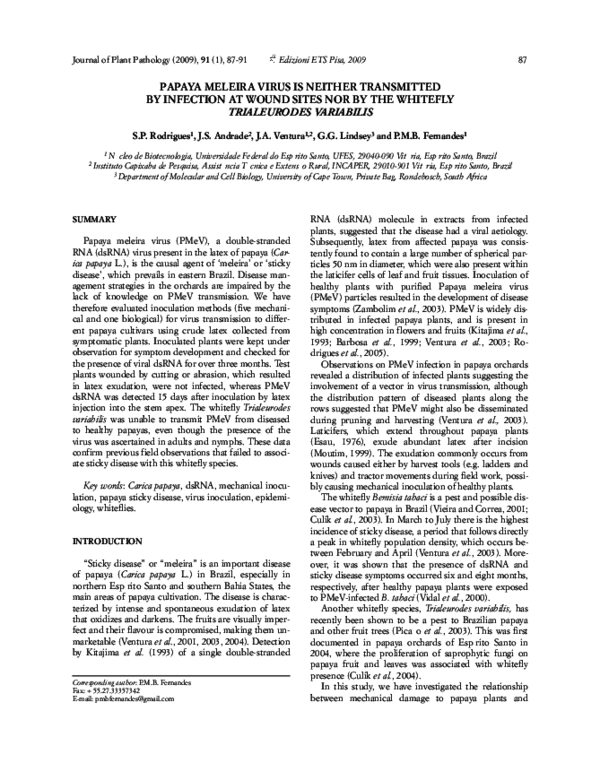 (PDF) PAPAYA MELEIRA VIRUS IS NEITHER TRANSMITTED BY INFECTION AT WOUND ...