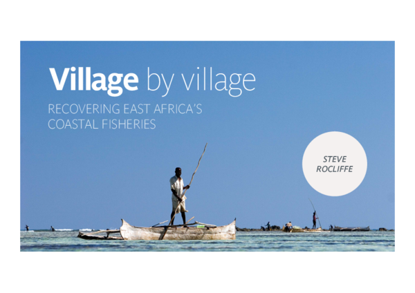 (PDF) Locally Managed Marine Areas in the Western Indian Ocean