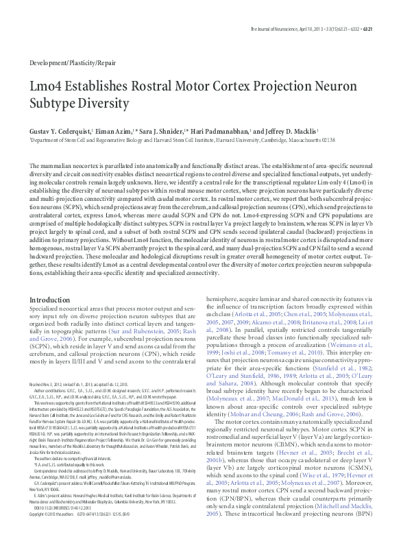 (PDF) Lmo4 establishes rostral motor cortex projection neuron subtype ...