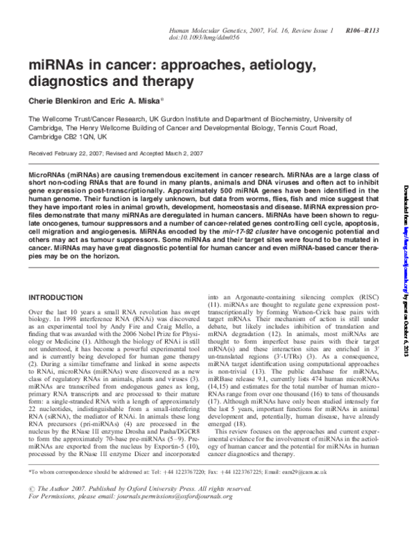(PDF) Hum. Mol. Genet.-2007-Blenkiron-R106-13