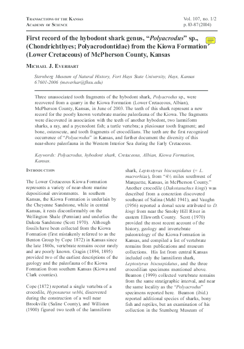(PDF) Everhart, M.J. 2004. First record of the hybodont shark genus ...