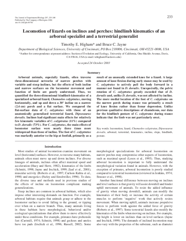 (PDF) Locomotion of lizards on inclines and perches: hindlimb ...